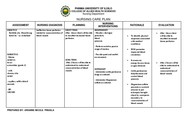 NCP Format | PDF | Blood Vessel | Blood