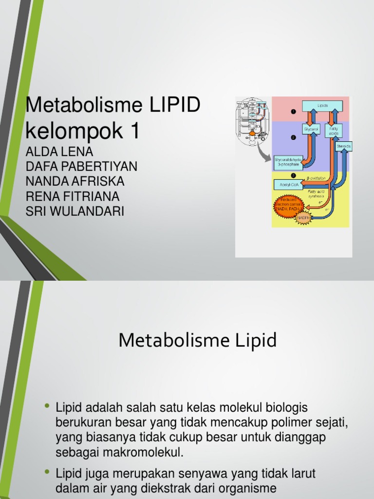 Metabolisme Lipid | PDF