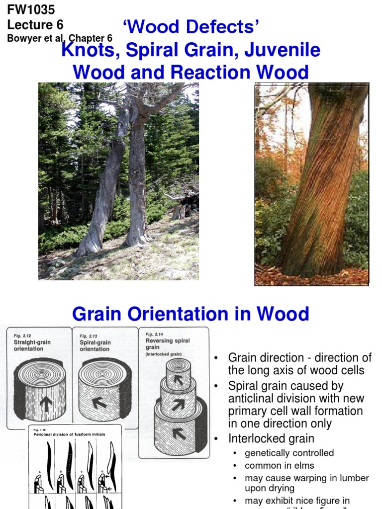 Wood Defects' Knots, Spiral Grain, Juvenile Wood and Reaction Wood ...