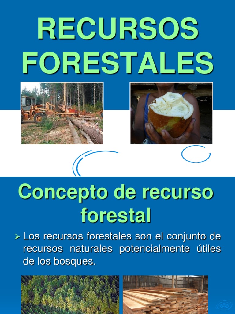 Recursos Forestales 22 | PDF | Los bosques | Suelo
