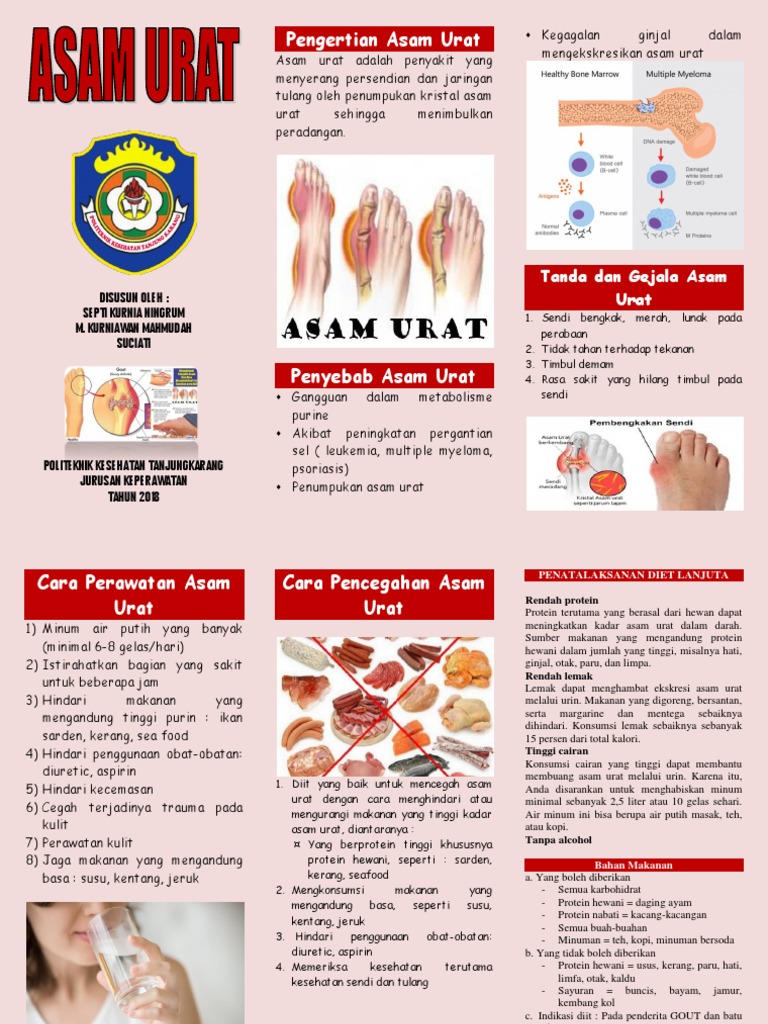 Leaflet Asam Urat | PDF