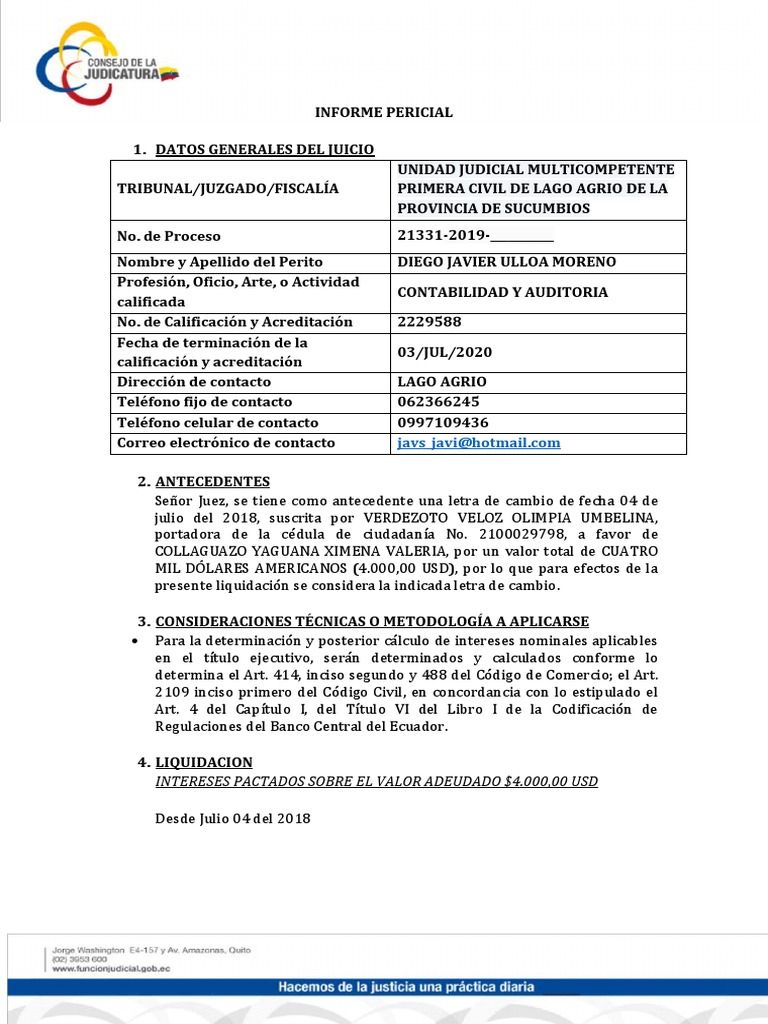 Formato Informe Pericial | PDF | Testigo experto | Poder judicial ...