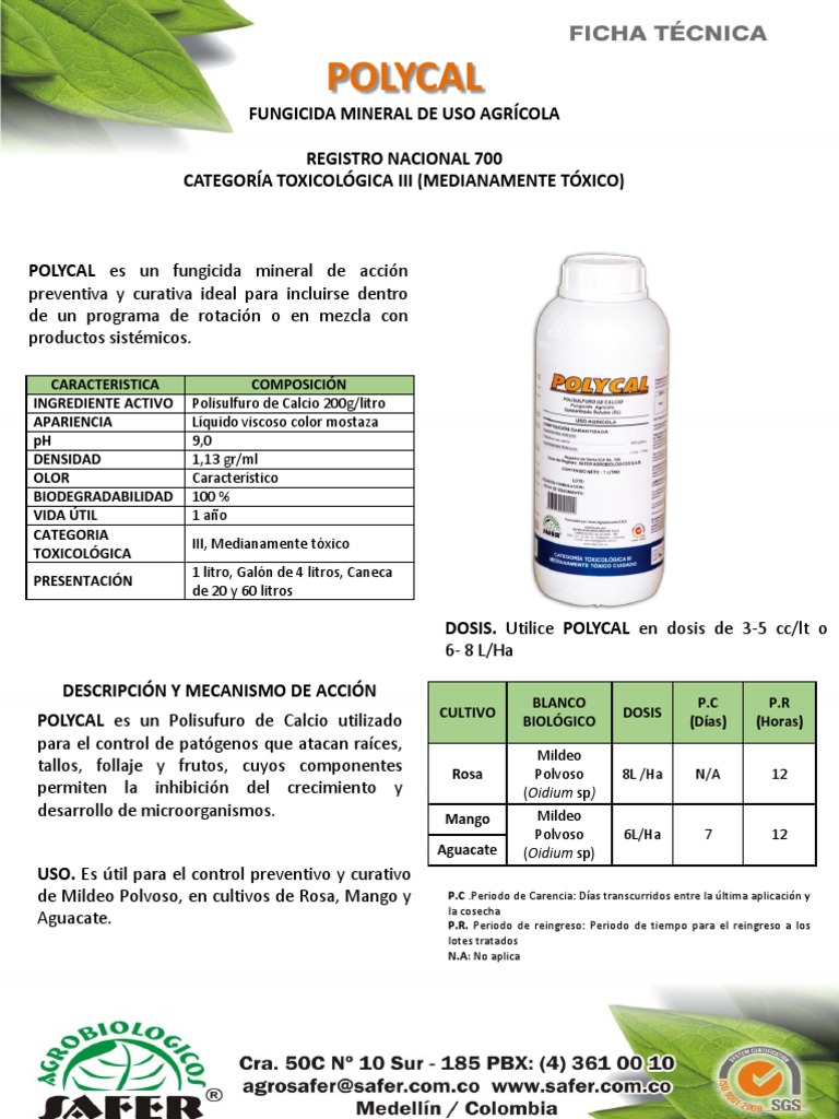 Polycal | PDF | Bienestar | Medicina