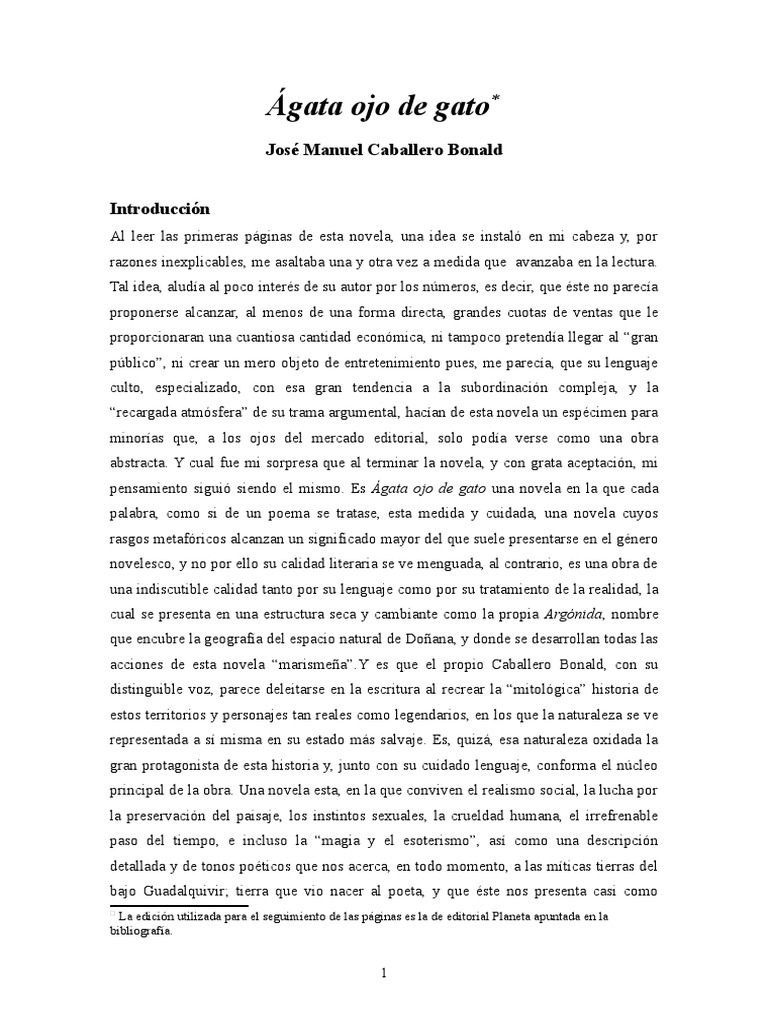 Ágata | PDF | Novelas