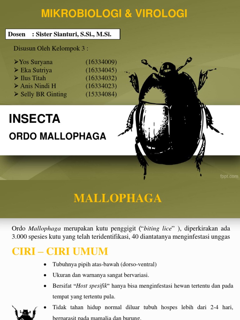 Ciri dan Spesies Ordo Mallophaga | PDF