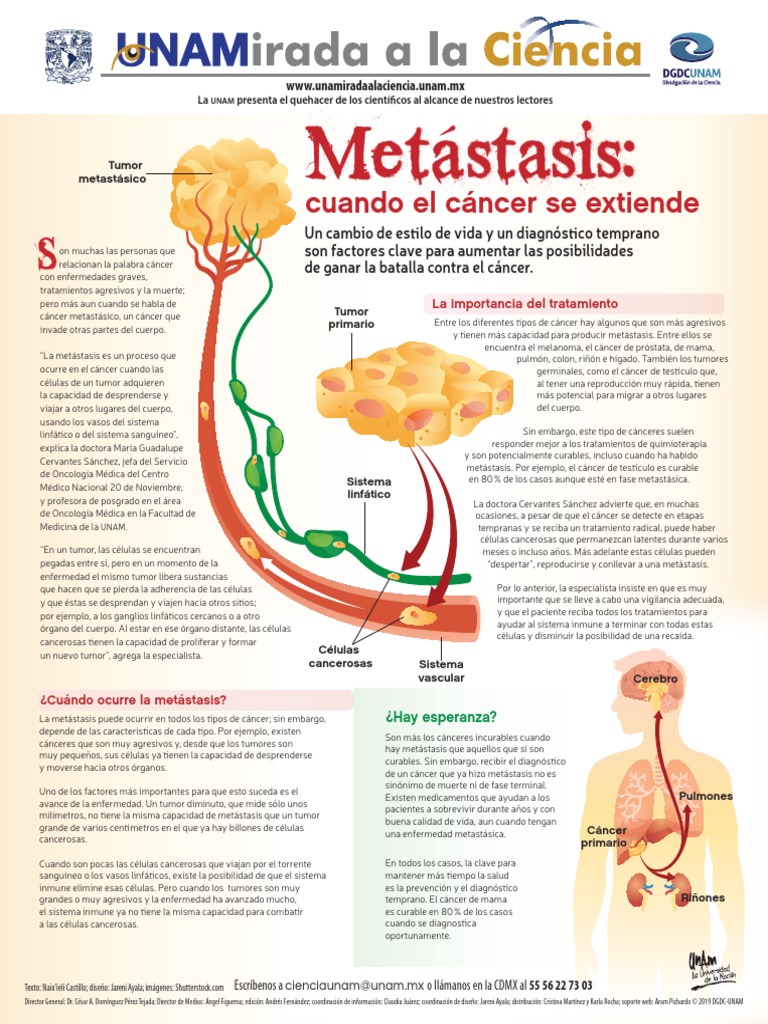 ¿Qué Es La Metástasis En El Cáncer – HEQXD
