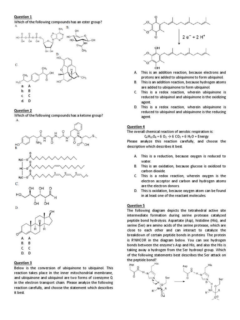 BIOCHEMISTRY II (100 Items) | PDF | Metabolic Pathway | Adenosine ...