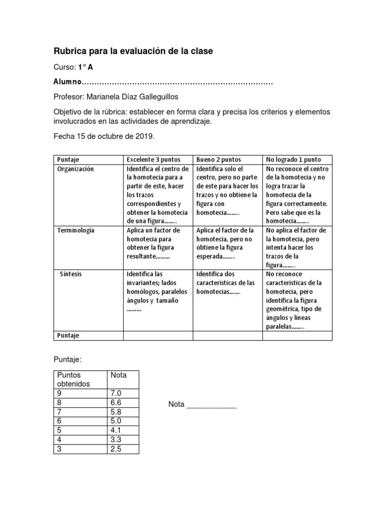 Rubric for Evaluating a Math Class on Homothecy | PDF