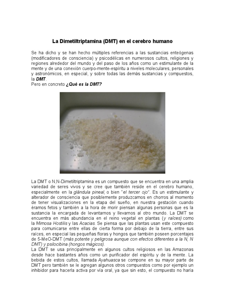 La Dimetiltriptamina (DMT) en El Cerebro Humano: DMT) y Psilocibina (Hongos Mágicos) | PDF ...
