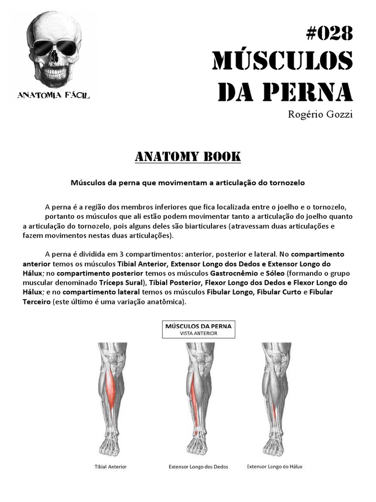 028 Musculos Da Perna | PDF | Sistema Locomotor | Anatomia humana