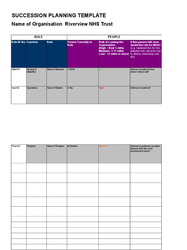 KSS Succession Planning Template 27.10 | PDF | Psychology | Business