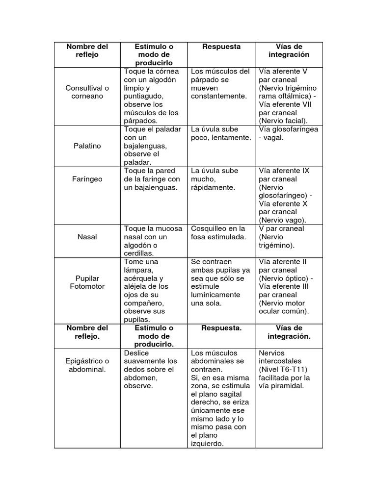 Cuadro Reflejos | PDF | Neuroanatomía | Sistema nervioso