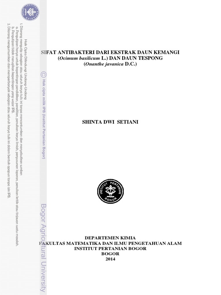 Sifat Antibakteri Daun Kemangi & Tespong | PDF