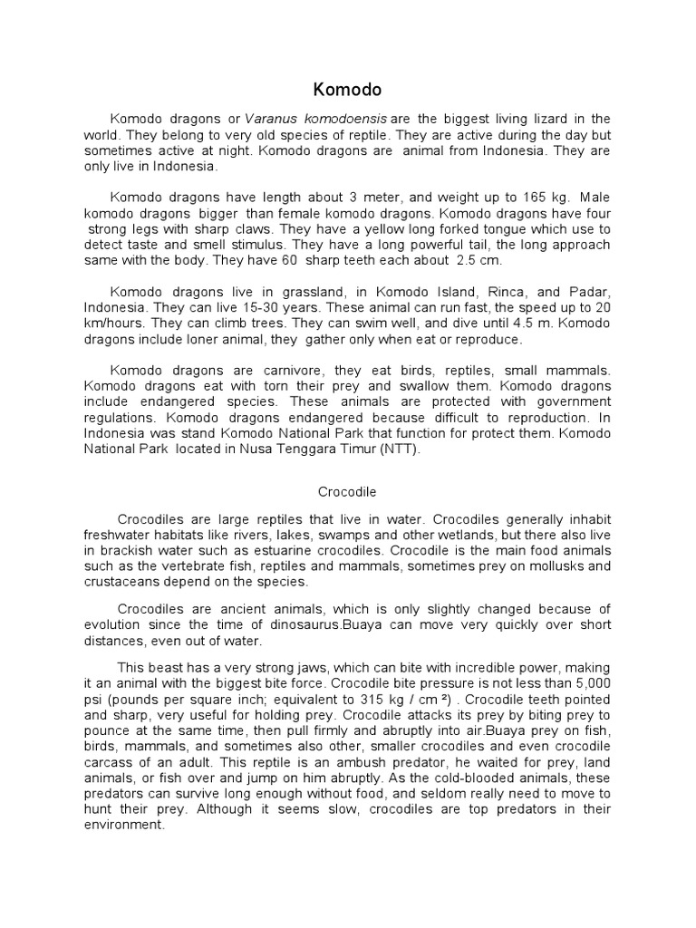 Report Text Reptile | Download Free PDF | Crocodile | Komodo Dragon