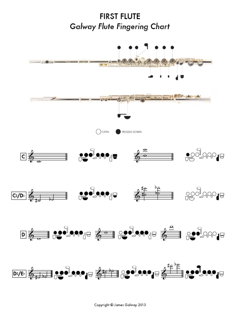 First Flute Fingering Chart | PDF