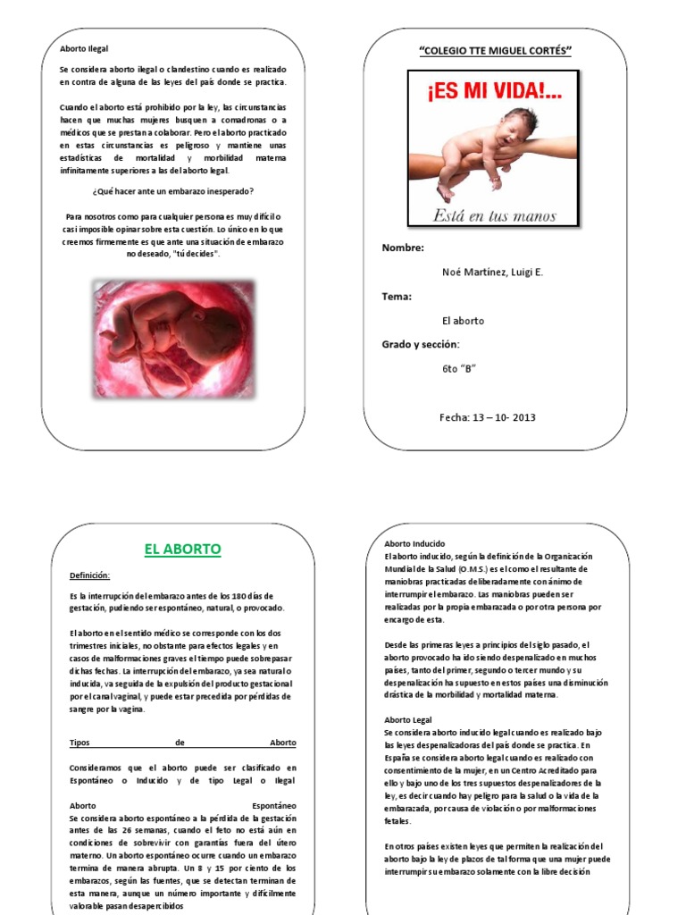 Dip Tico | PDF | Aborto | Derechos reproductivos