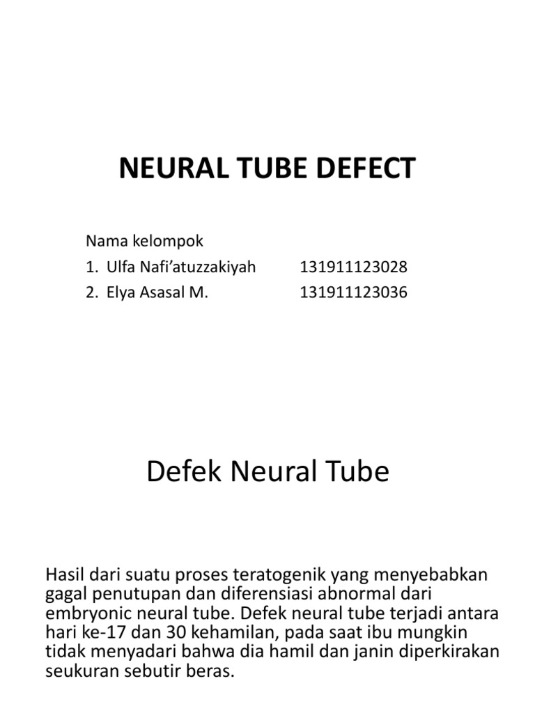 Neural Tube Defect | PDF