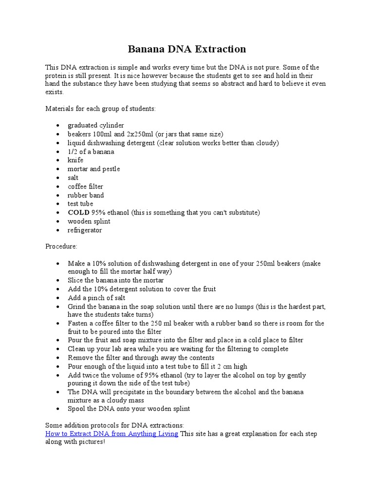 Banana DNA Extraction | PDF