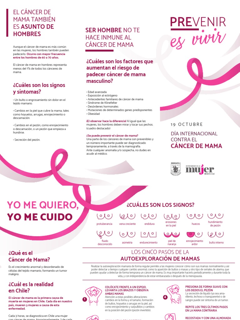 Folleto Cancer de Mama | PDF | Cáncer de mama | Pecho