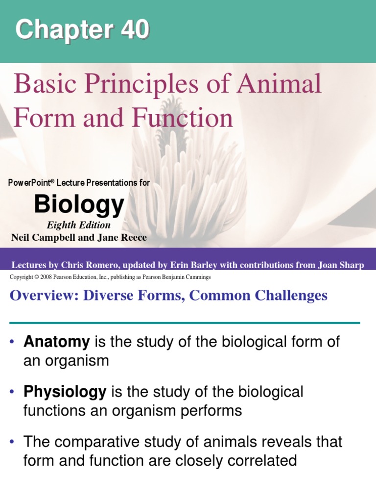 Basic Principles of Animal Form and Function: Biology | PDF ...