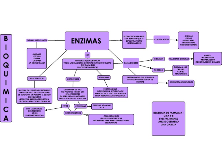 Mapa Conceptual Enzimas