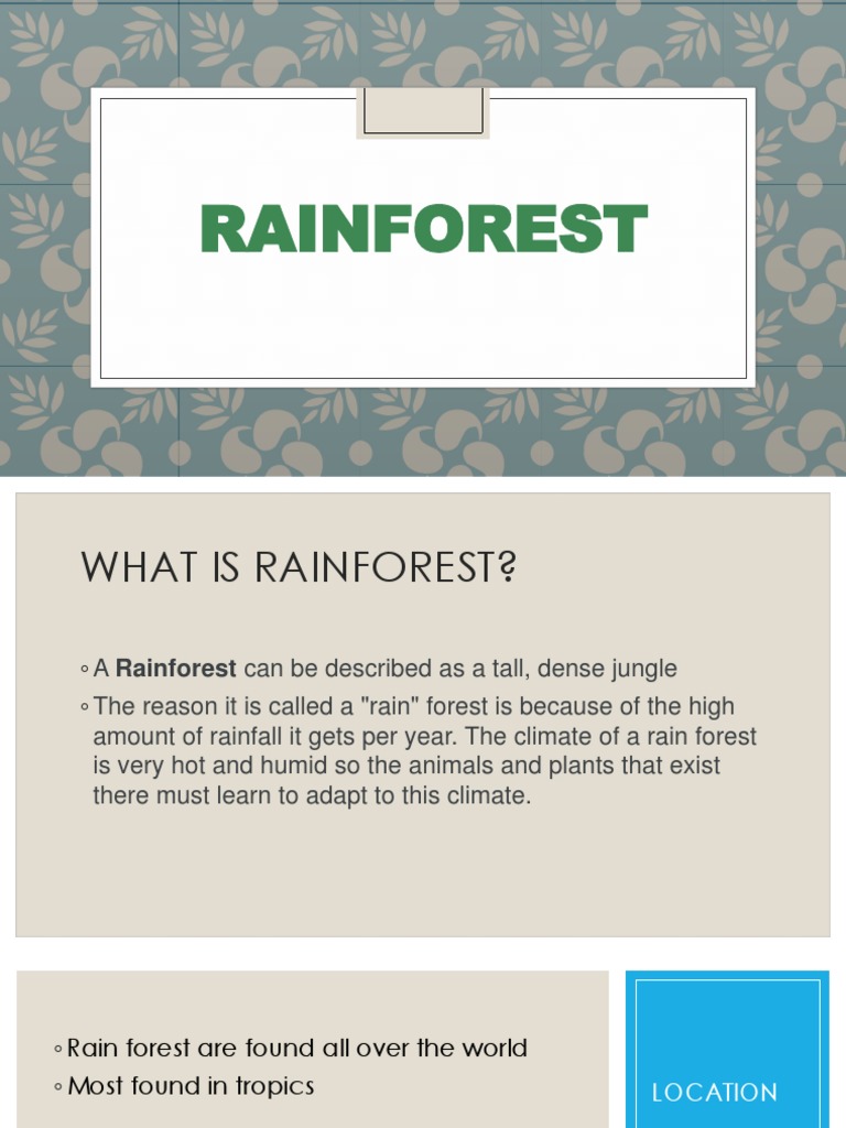Rainforest | PDF | Rainforest | Trees