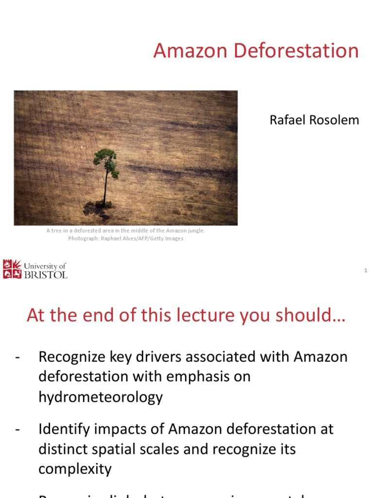 Amazon Deforestation Lecture Rosolem | PDF | Deforestation | Amazon ...