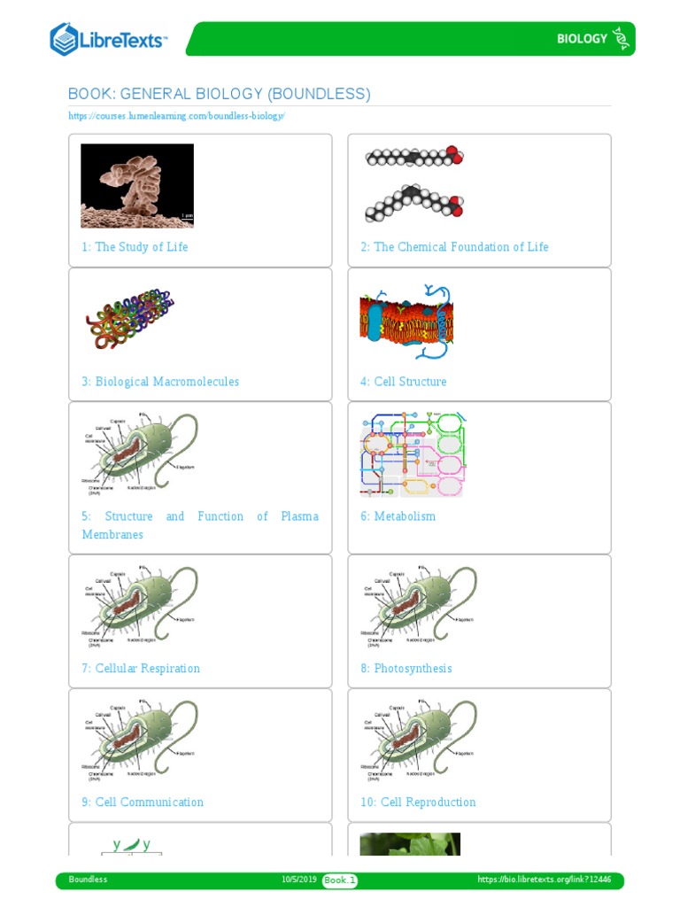 A Comprehensive Overview of Modern Biology: Exploring Life from the ...