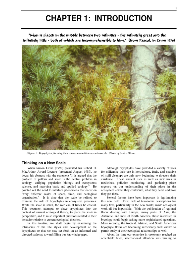 Understanding Bryophytes in Ecosystems | PDF | Ecology | Biodiversity