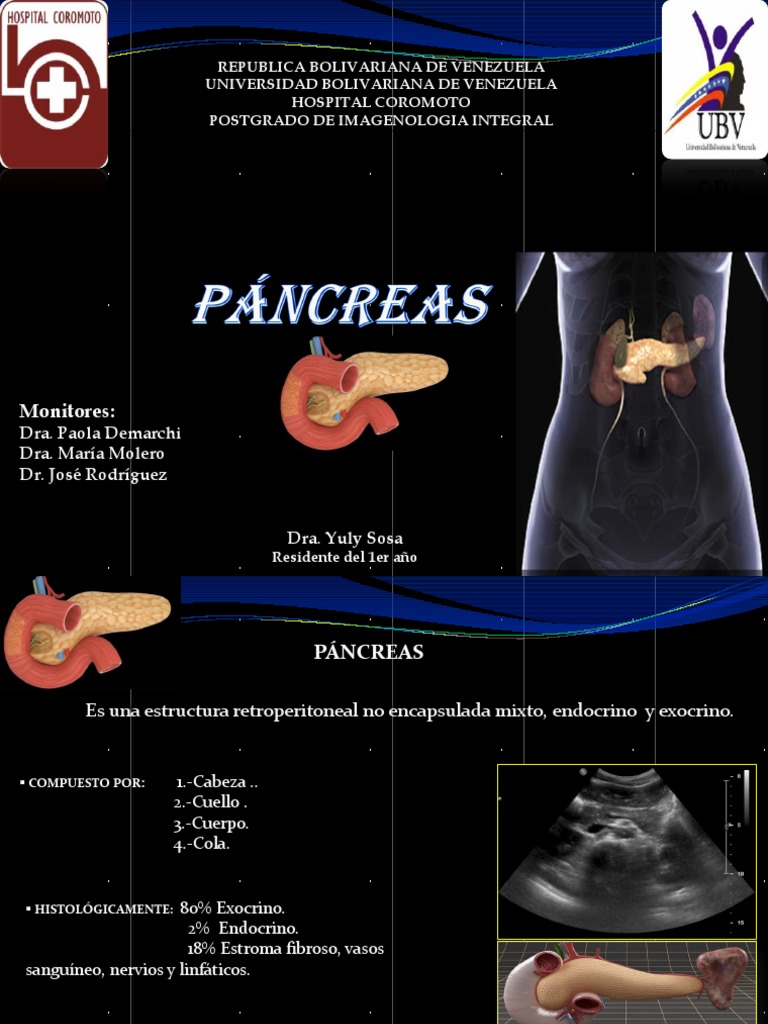 Us Pancreas | PDF | Páncreas | Abdomen