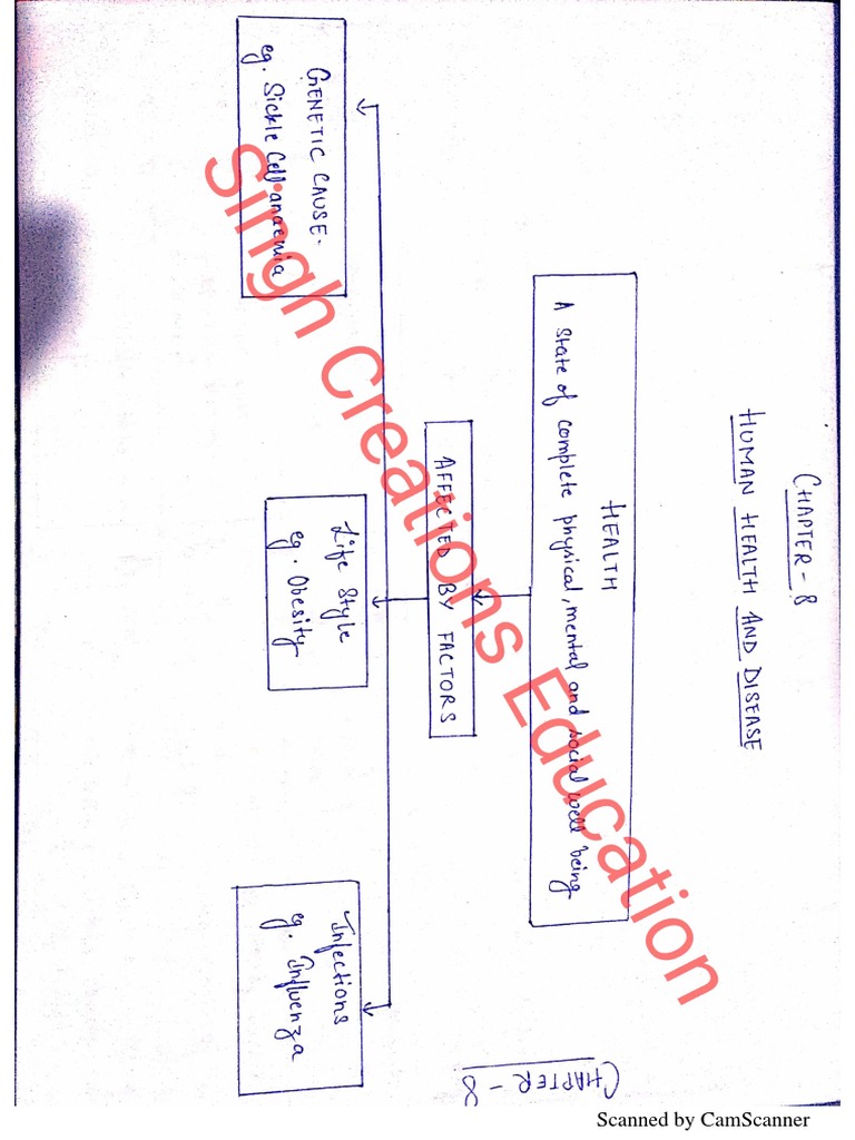 Biology Flowcharts | PDF
