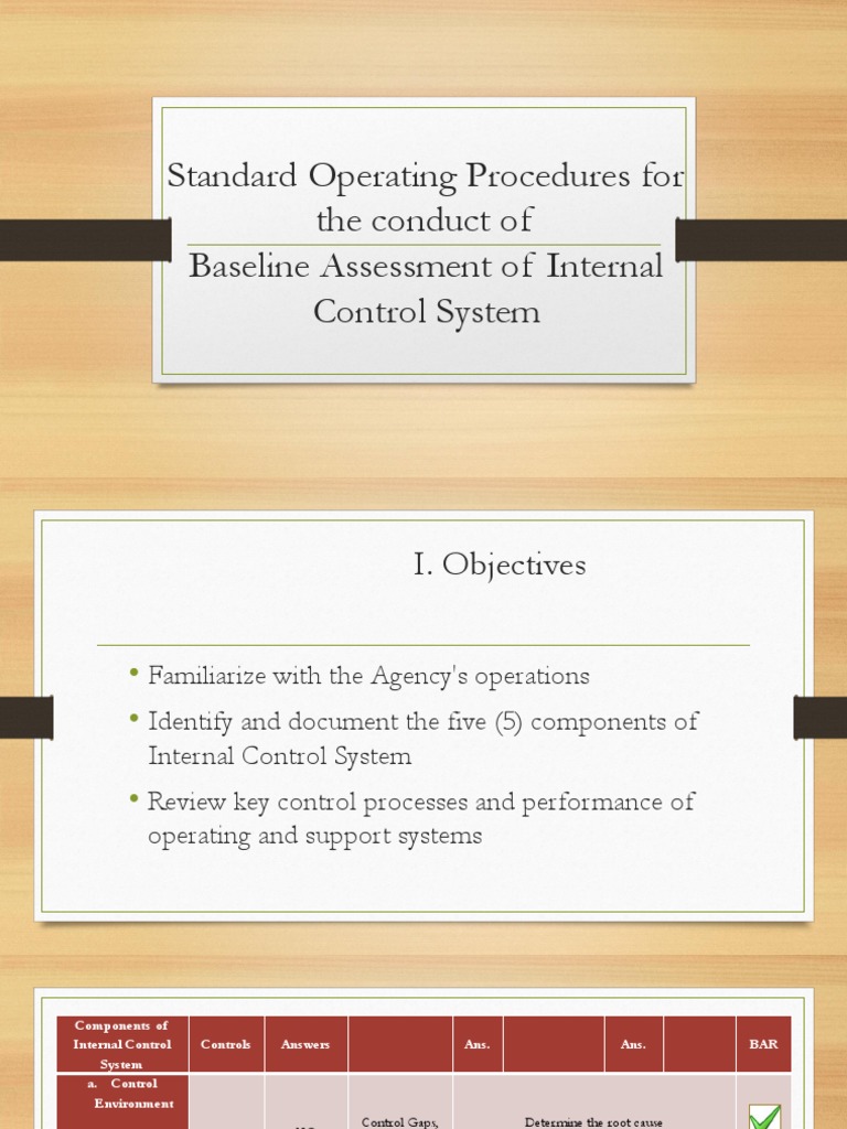 Conduct of Baseline Assessment of Internal Control System | PDF | Internal Control | Focus Group