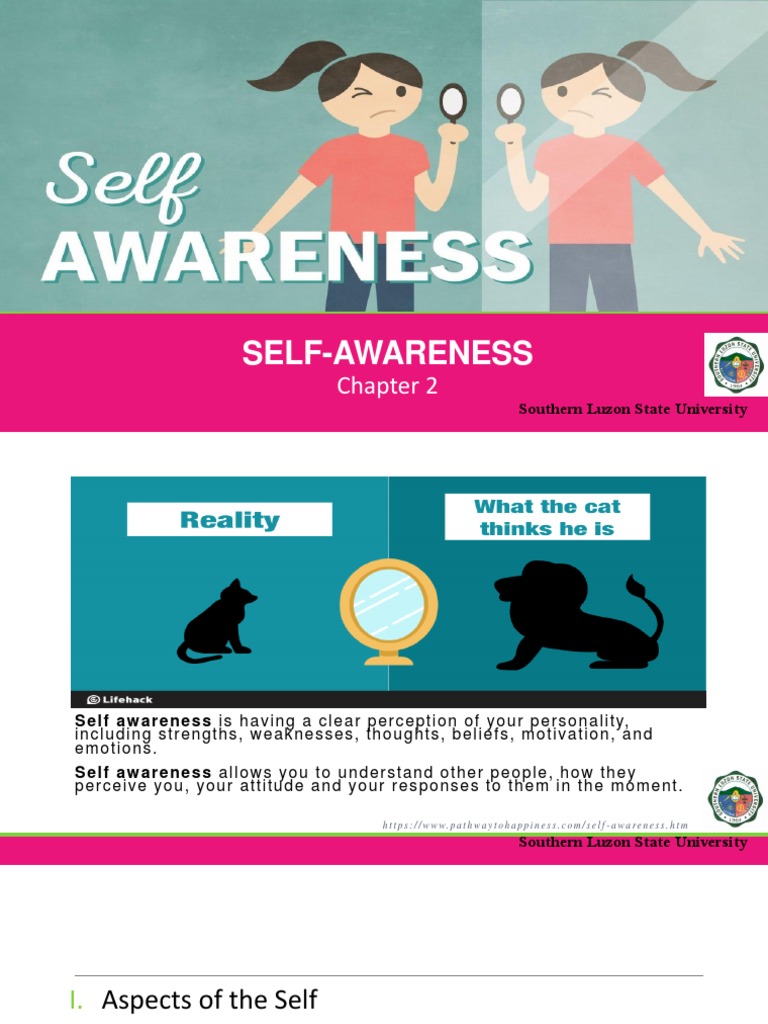 Chapter 2 Self Awareness | PDF | Self | Self Concept