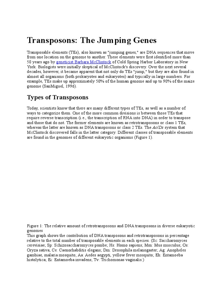 Transposons: The Jumping Genes | PDF | Transposable Element | Genome