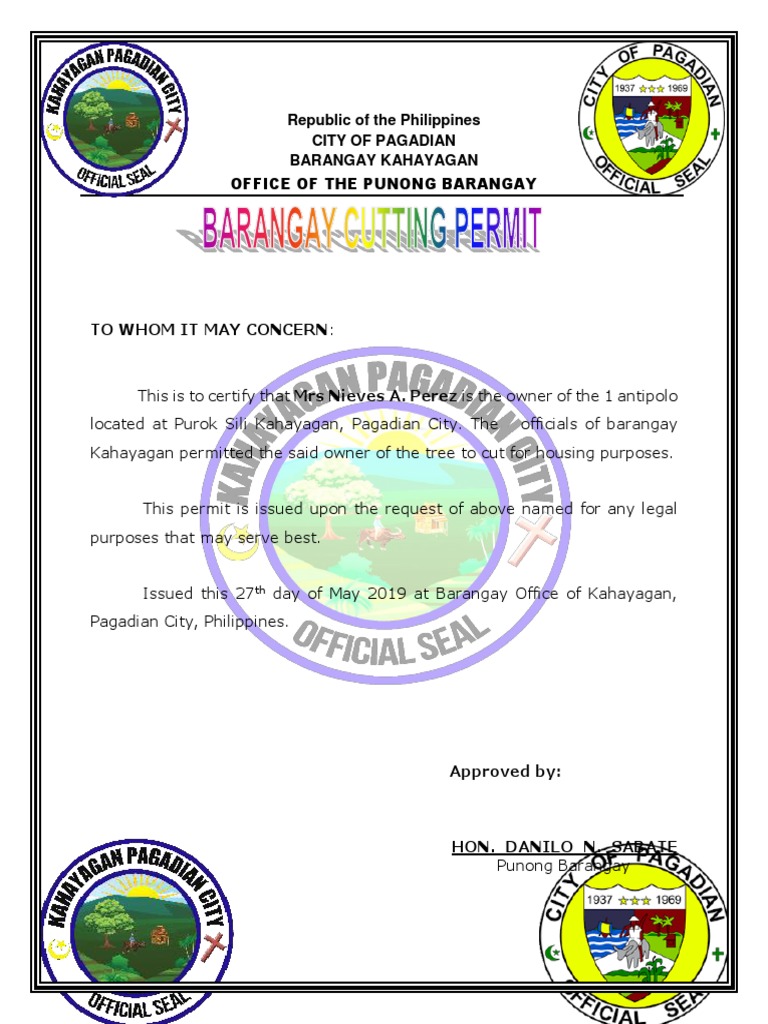 Barangay Kahayagan Certifications | PDF | Virtue | Government Information