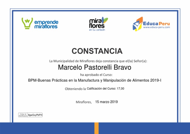 Constancia de BPM | PDF