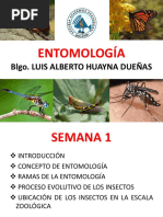 Origen y Evolucion de Los Insectos | PDF | Insectos | Escala de tiempo ...