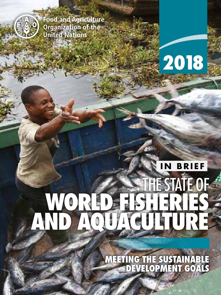 World Fisheries and Aquaculture: The State of | PDF | Aquaculture ...