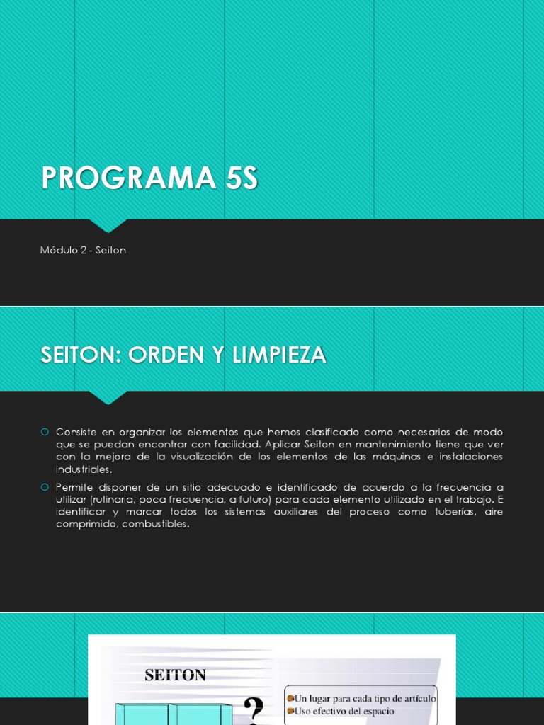 5S - Seiton | PDF | Informática y tecnología de la información | Science