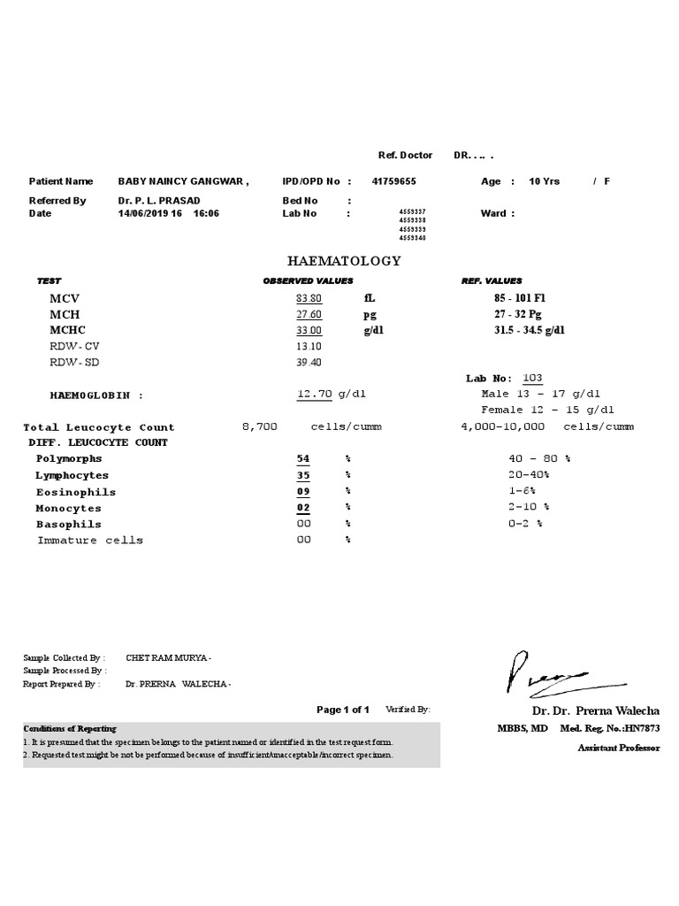 Haematology Mcv Mch Pdf White Blood Cell Animal Anatomy
