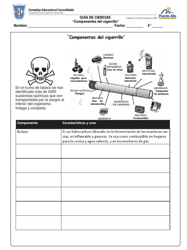 Guía Componentes Del Cigarrillo | PDF | Cocina, comidas y vino