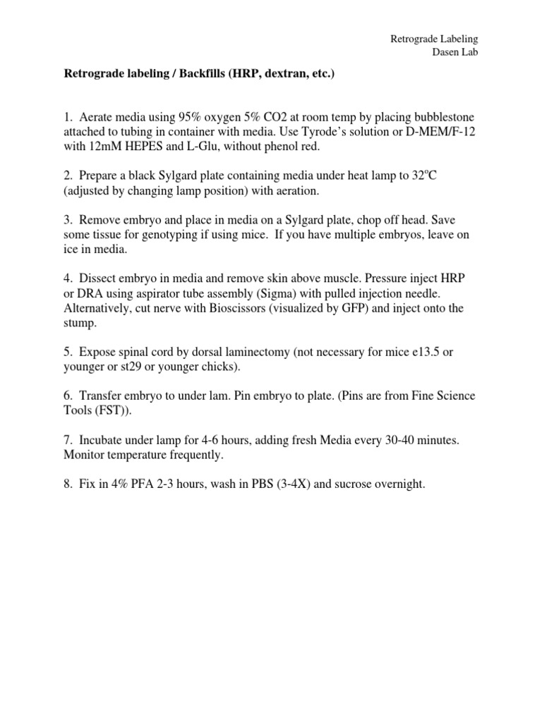 Embryo Retrograde Labeling Guide | PDF | Chemistry | Chemical Substances