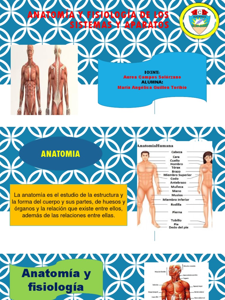 Anatomía y Fisiología de Los Sistemas y Aparatos | PDF | Sistema ...