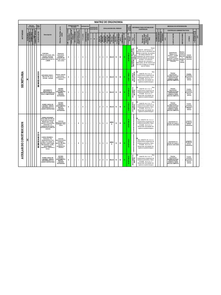 Matriz de Riesgo Ergonomia | PDF | Especialidades Medicas | Sicología