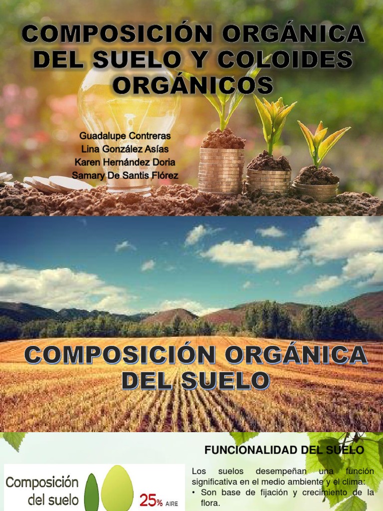 Composición Orgánica Del Suelo y Coloides Orgánicos | PDF | Compuestos ...