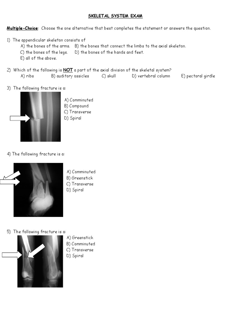 SKELETAL SYSTEM EXAM | Bone | Skull