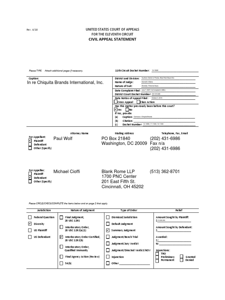 Civil Appeal Statement | PDF | Summary Judgment | Daubert Standard