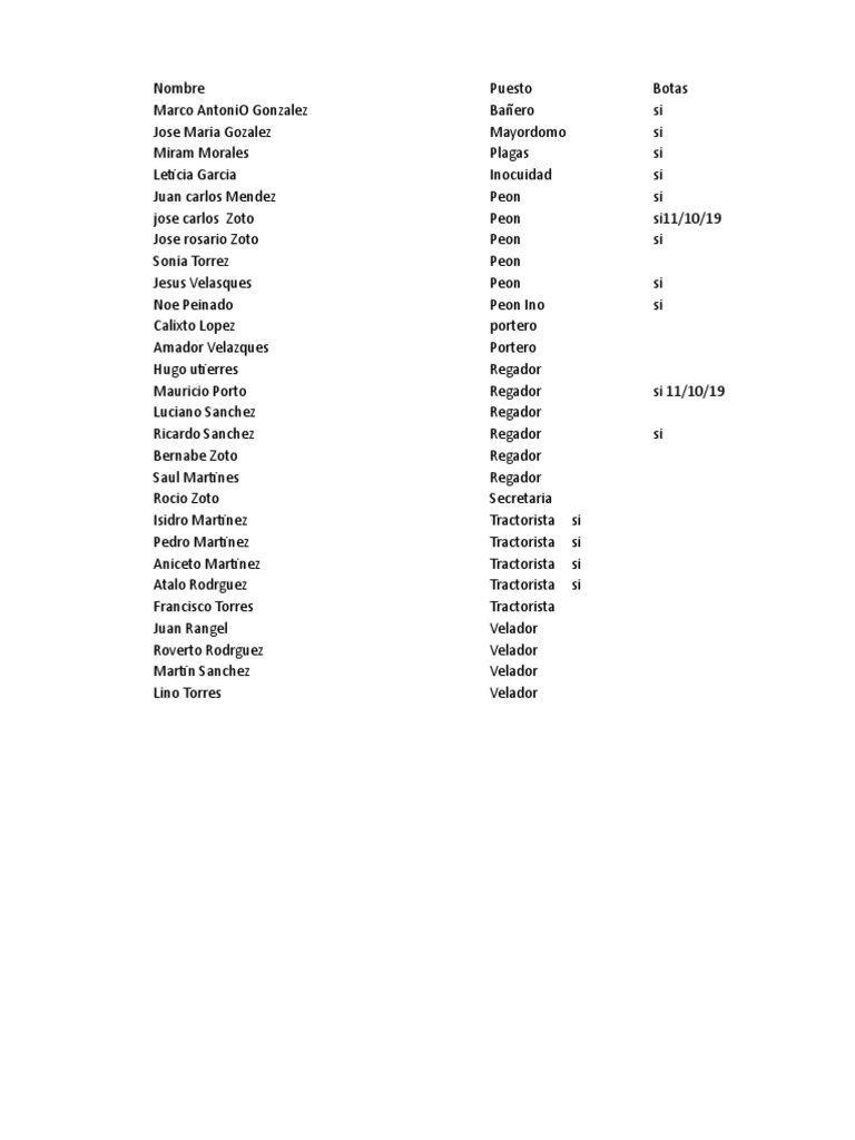 Equipo Pesonal | PDF