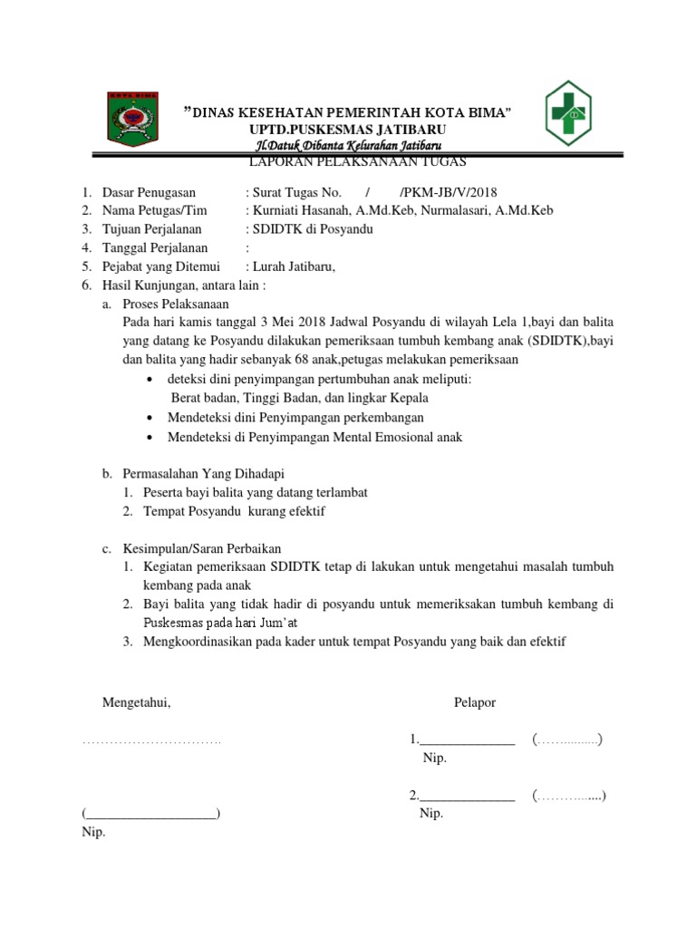 Laporan Sdidtk Posyandu (Ade) | PDF
