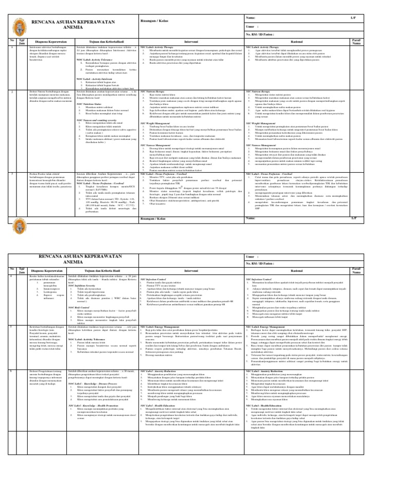 Renpra Anemia Sdki | PDF